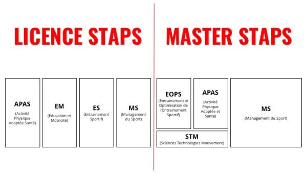 Formations - UFR STAPS Montpellier